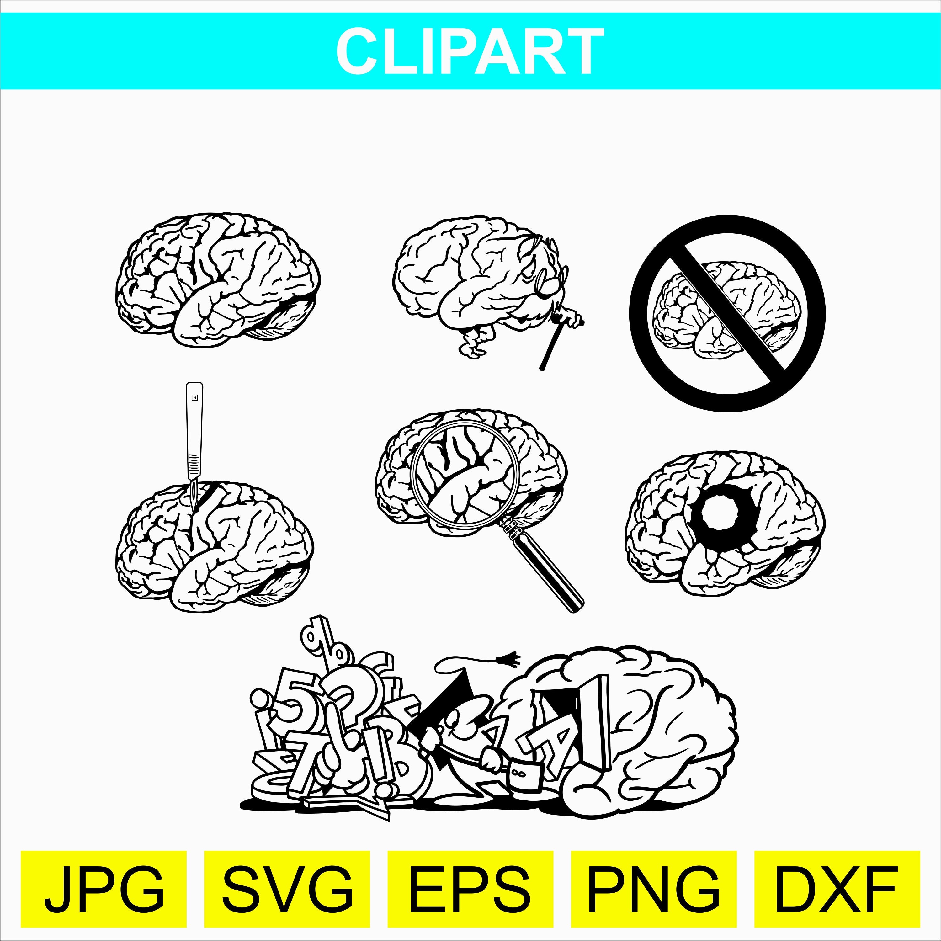 Brain SVG Bundle, Human Brain Brain Clipart, Brain Files for Cricut ...
