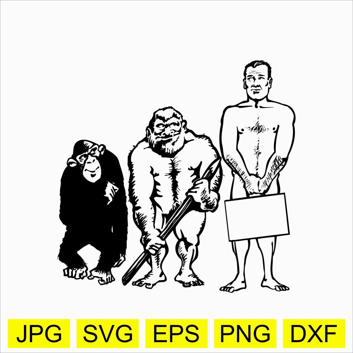 Human Evolution Vector Drawing. From Ape to Man. SVG Files. Vector ...