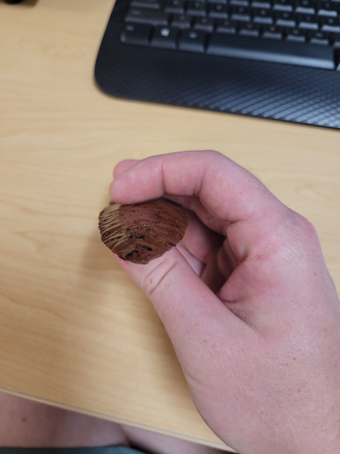 Mahogany Obsidian Northern Side Notch Blade Replica - Etsy