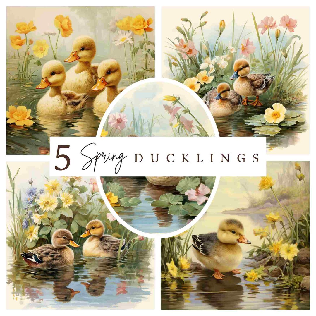 Vintage Spring Ducklings Clipart Bundle - 5 High-quality Jpgs ...
