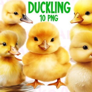 Duckling Watercolour Clipart,easter Duckling, Spring Baby Duckling - Etsy