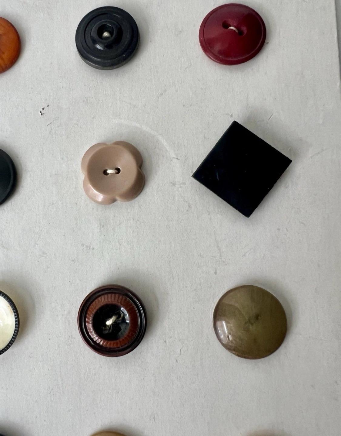 Vintage 1962 Button Sample Board – Mixed Button Display MCM 1960s Rare ...