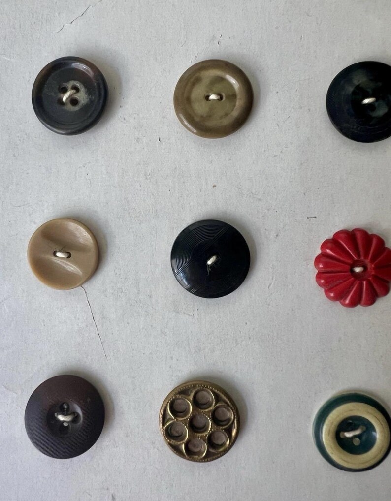 Vintage 1962 Button Sample Board – Mixed Button Display MCM 1960s Rare ...