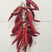 Natural Dried Red Cayenne Peppers, Lithuanian Grown, Hot Cooking Spice ...