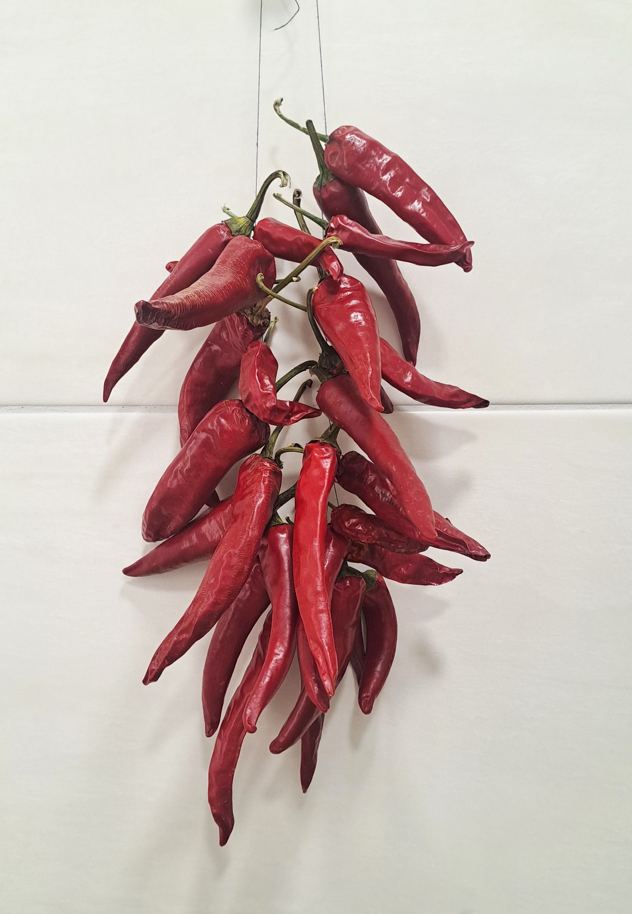 Natural Dried Red Cayenne Peppers, Lithuanian Grown, Hot Cooking Spice ...