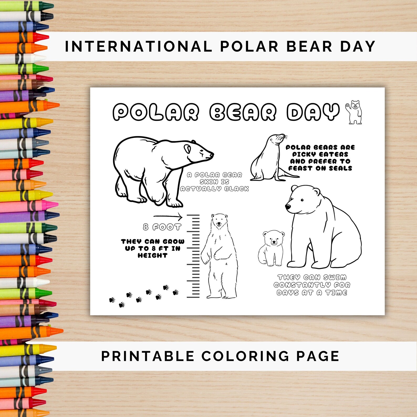 International Polar Bear Day, Polar Bear Day Coloring Page for Kids ...