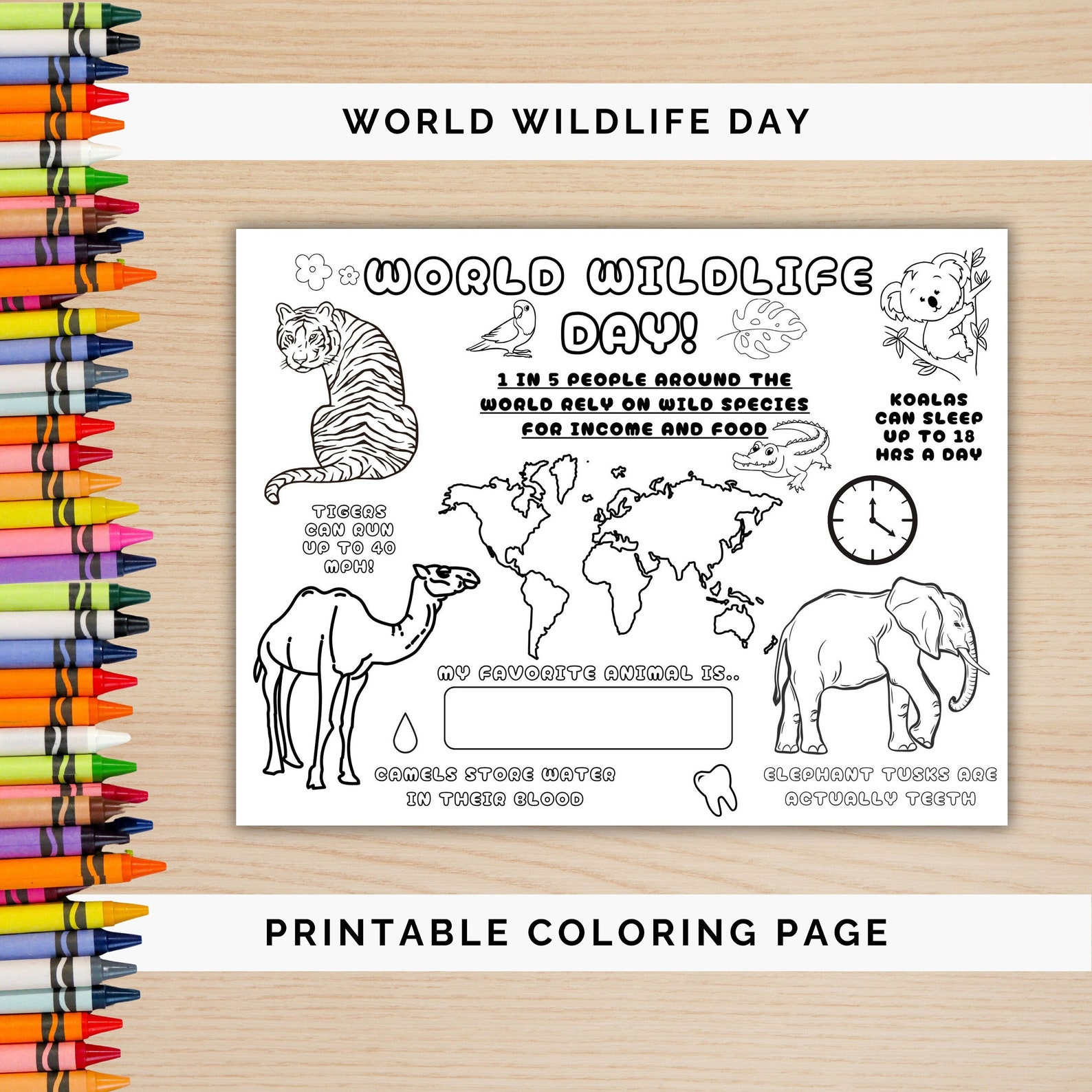 World Wildlife Day Coloring Page, Wildlife Activity Placemat, March 3rd ...