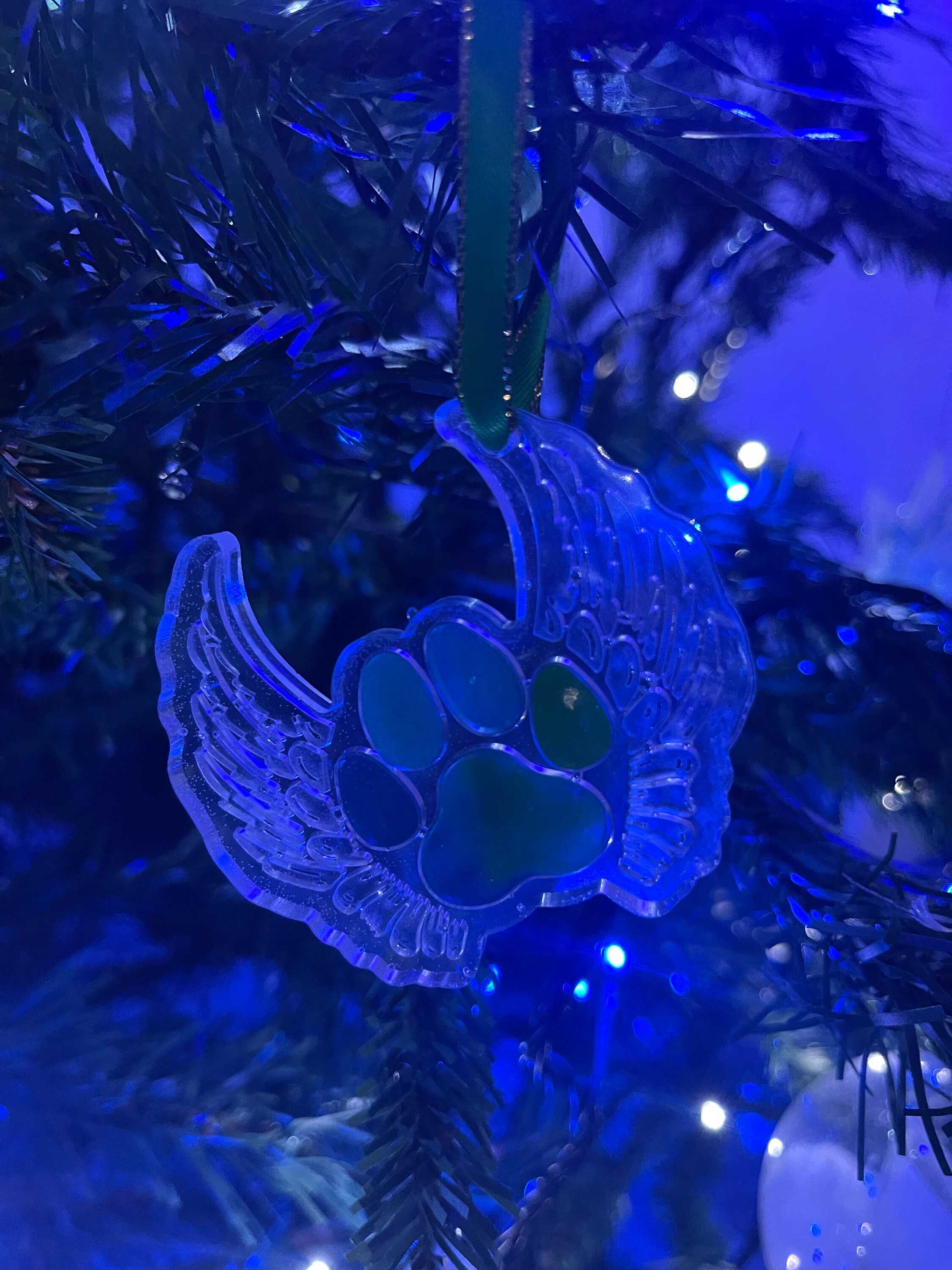 Paw Print With Wings - Etsy
