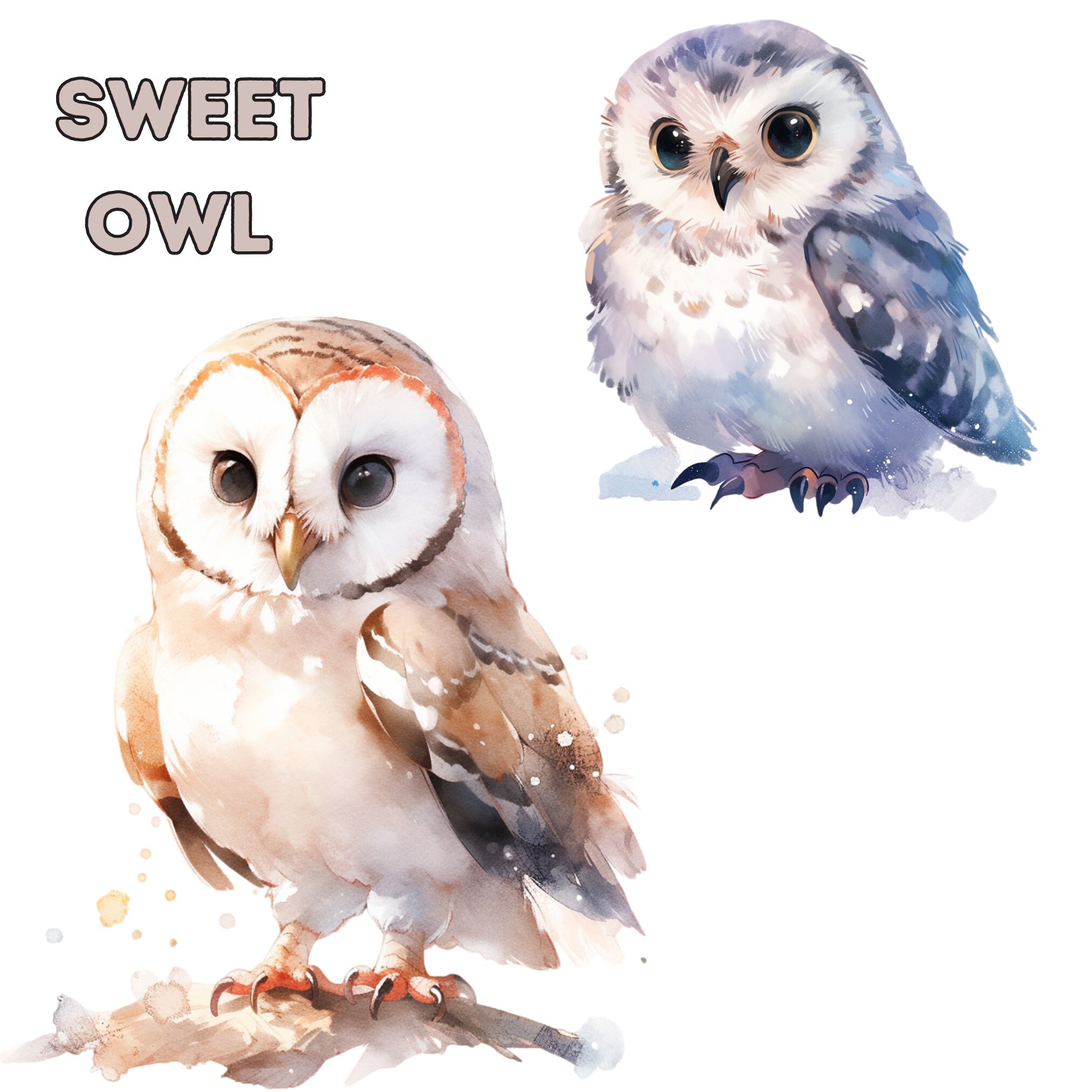 Sweet Woodland Animals, Cute Animals Clipart, Woodland Animal ...