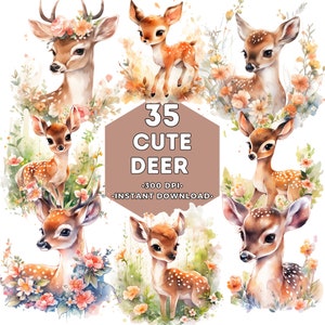 Sweet Woodland Animals, Cute Animals Clipart, Woodland Animal ...