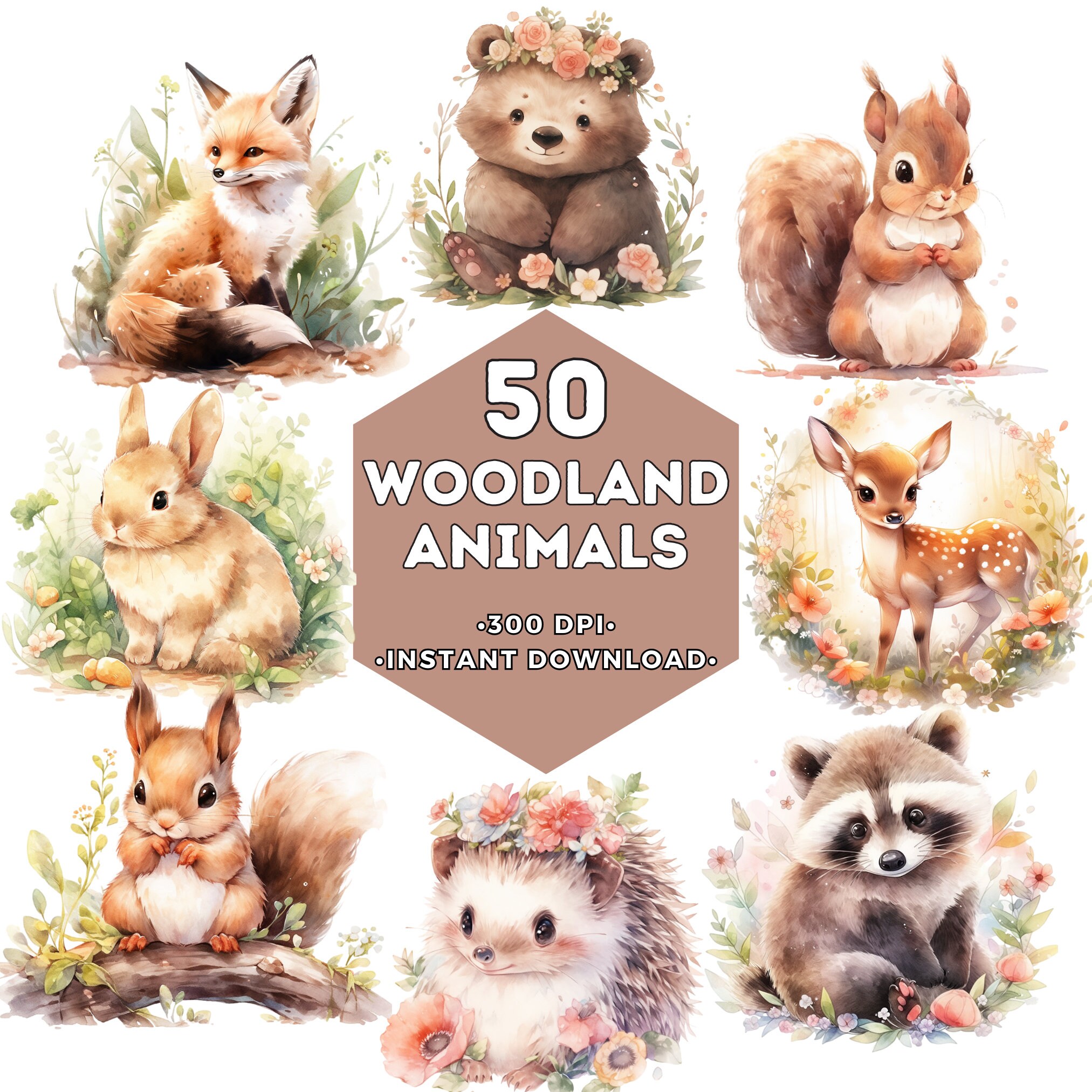 Cute Woodland Animal, Watercolor Clipart, Sweet Squirrel, Cute Raccoon ...