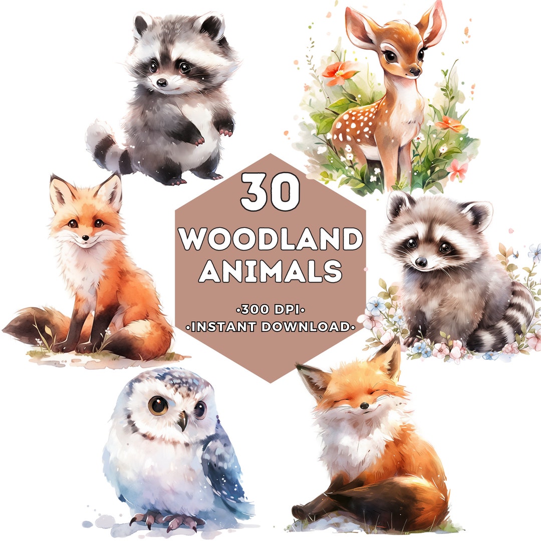 Sweet Woodland Animals, Cute Animals Clipart, Woodland Animal ...