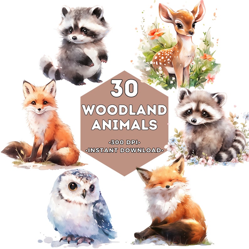 Sweet Woodland Animals, Cute Animals Clipart, Woodland Animal ...