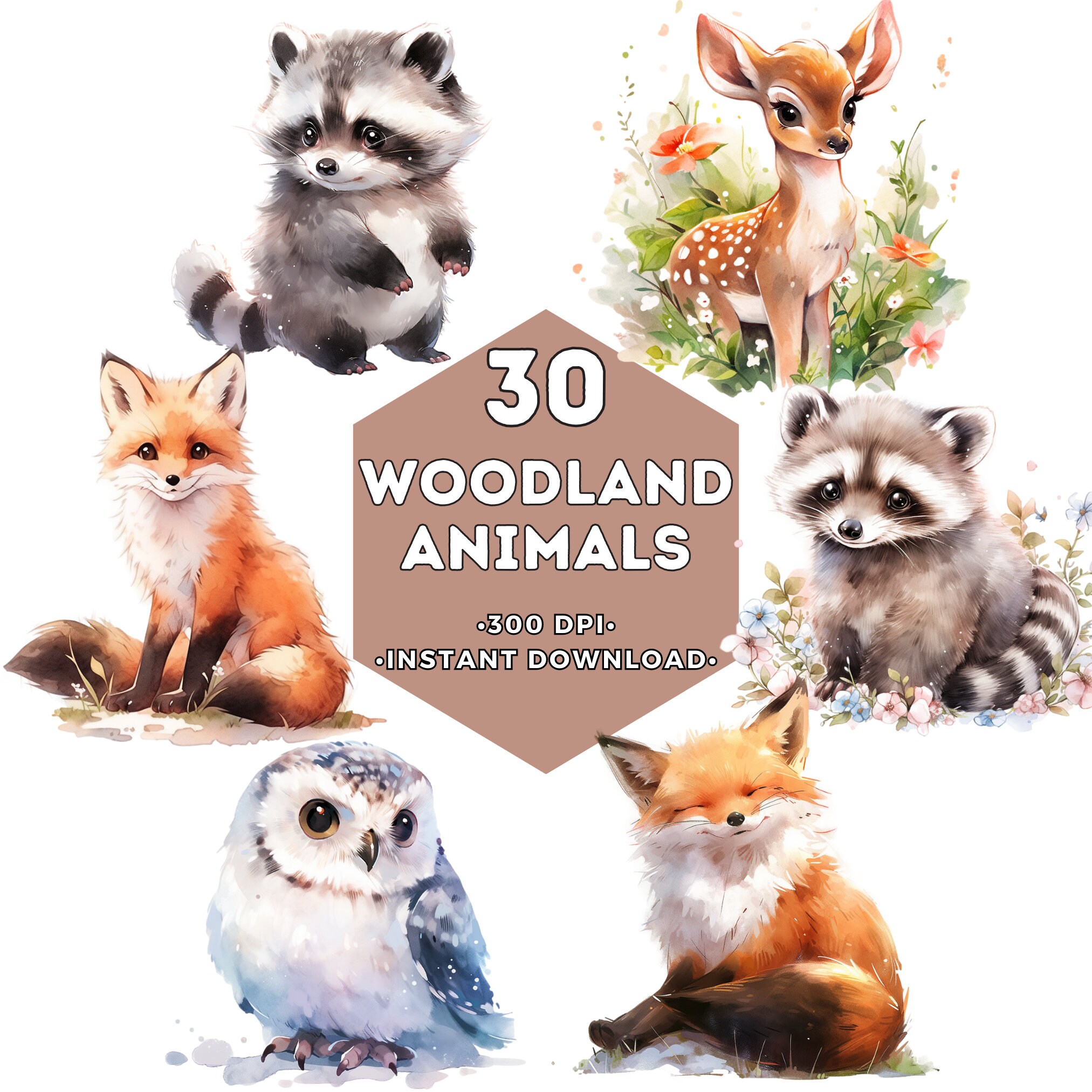 Sweet Woodland Animals, Cute Animals Clipart, Woodland Animal ...