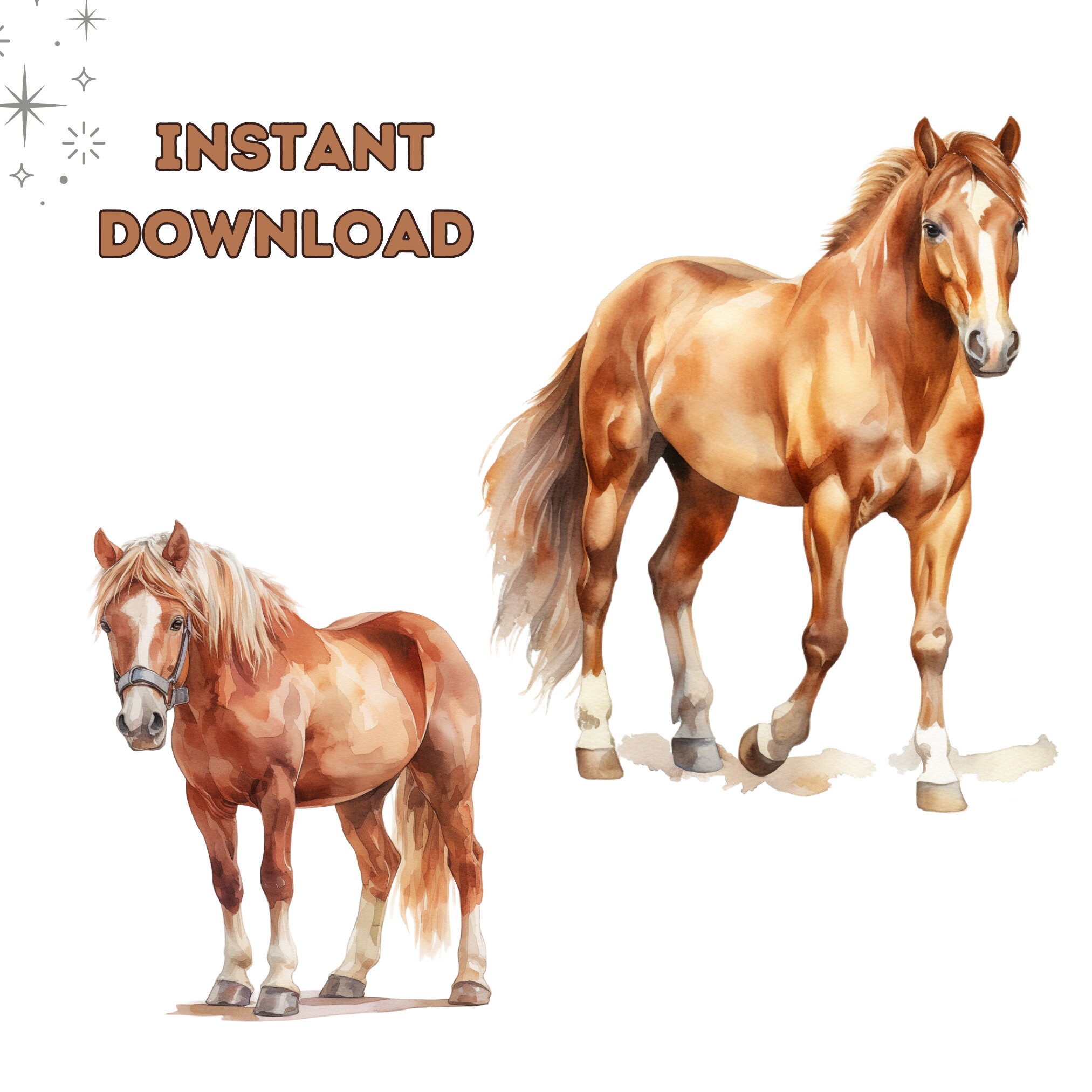 Majestic Horse Bundle 28 Cute Horse Clipart, Farm Animal Clipart ...