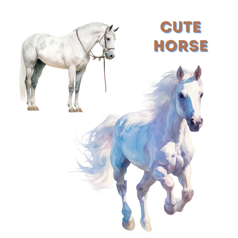 Majestic Horse Bundle 28 Cute Horse Clipart, Farm Animal Clipart ...