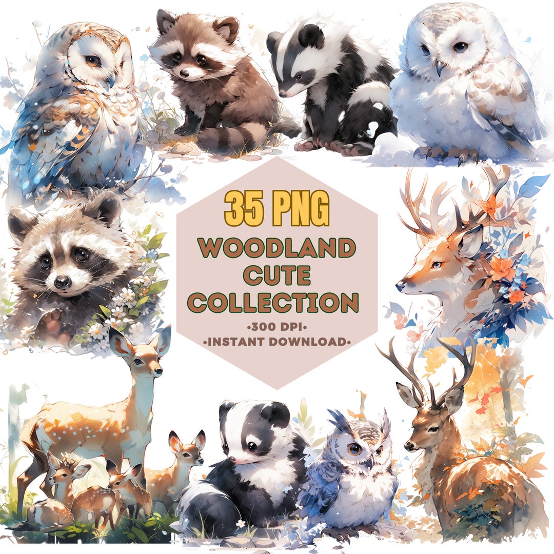 Sweet Woodland Animals Cute Animals Clipart Woodland Animal - Etsy