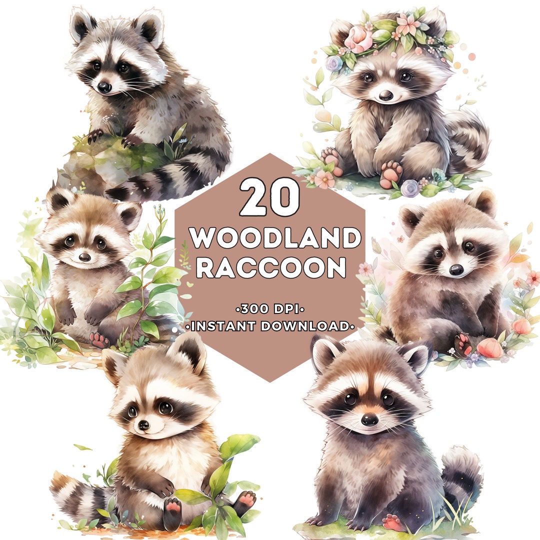 Sweet Woodland Animals, Cute Raccoon Clipart, Woodland Animal ...
