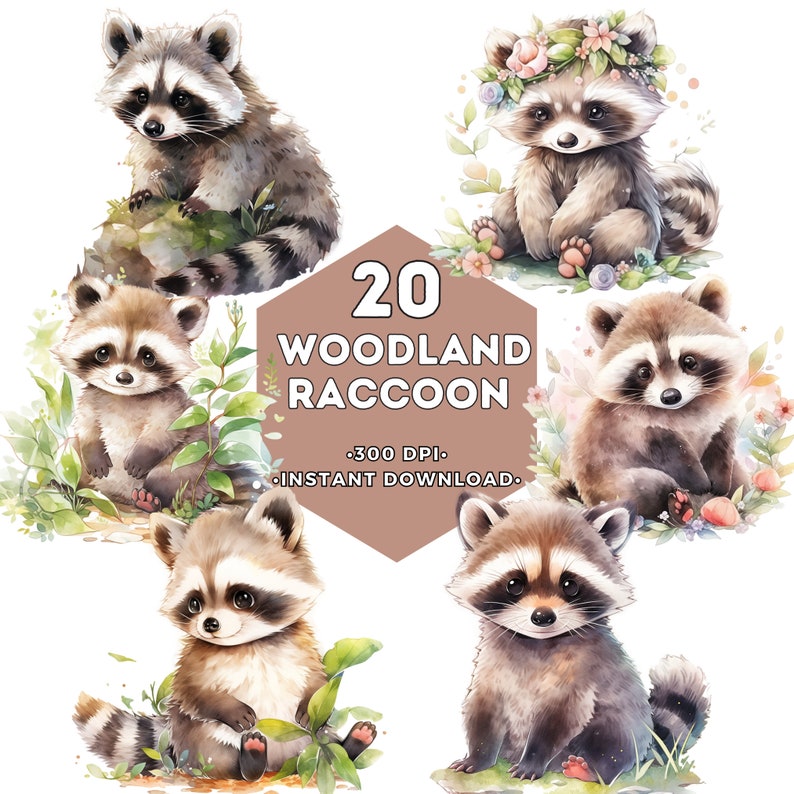 Sweet Woodland Animals, Cute Raccoon Clipart, Woodland Animal ...