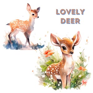 Sweet Woodland Animals, Cute Animals Clipart, Woodland Animal ...