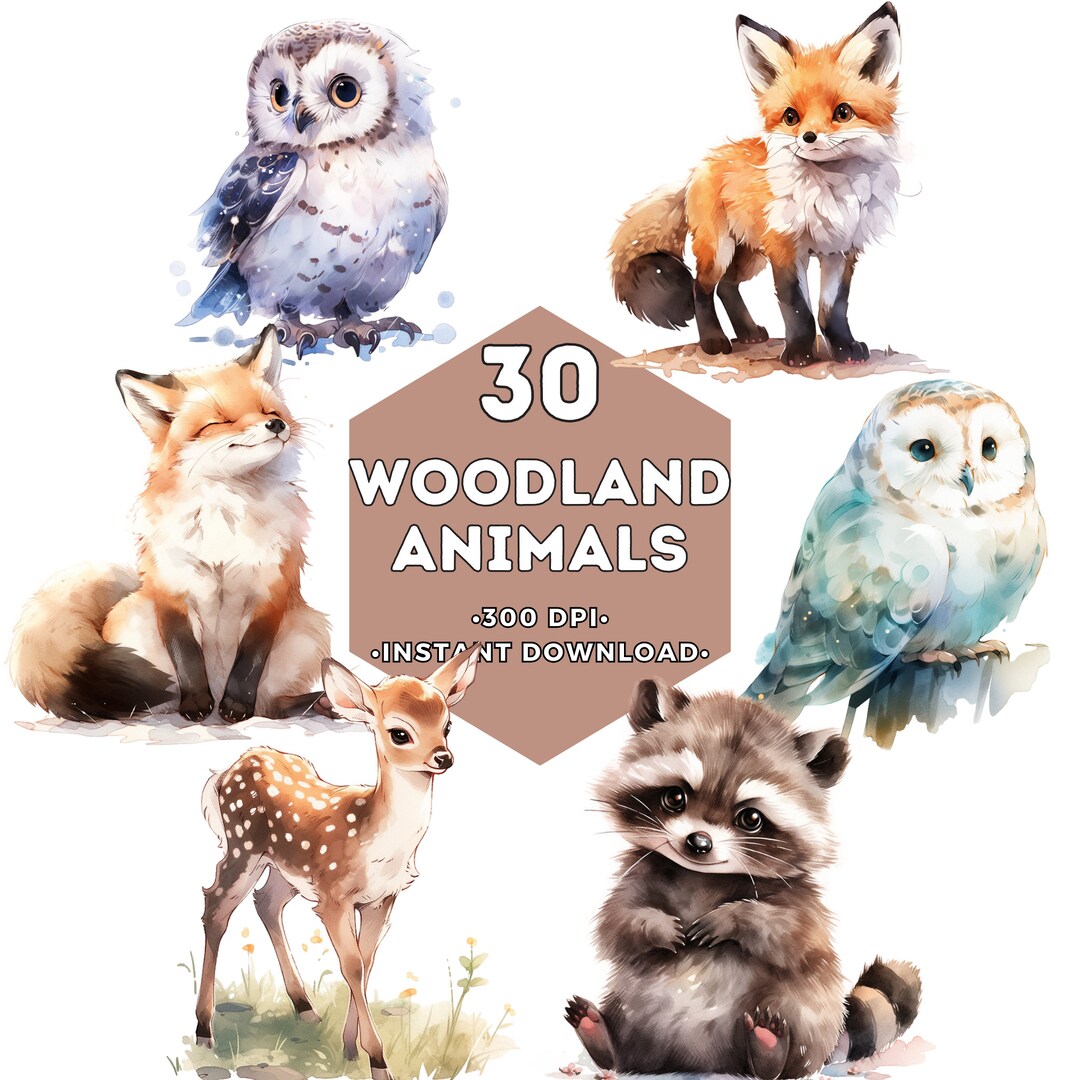 Sweet Woodland Animals, Cute Animals Clipart, Woodland Animal ...