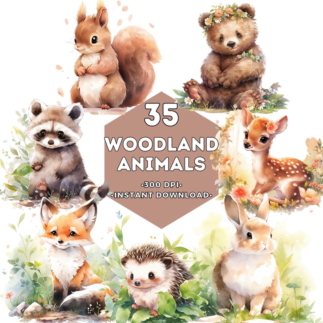 Sweet Woodland Animals, Cute Animals Clipart, Woodland Animal ...
