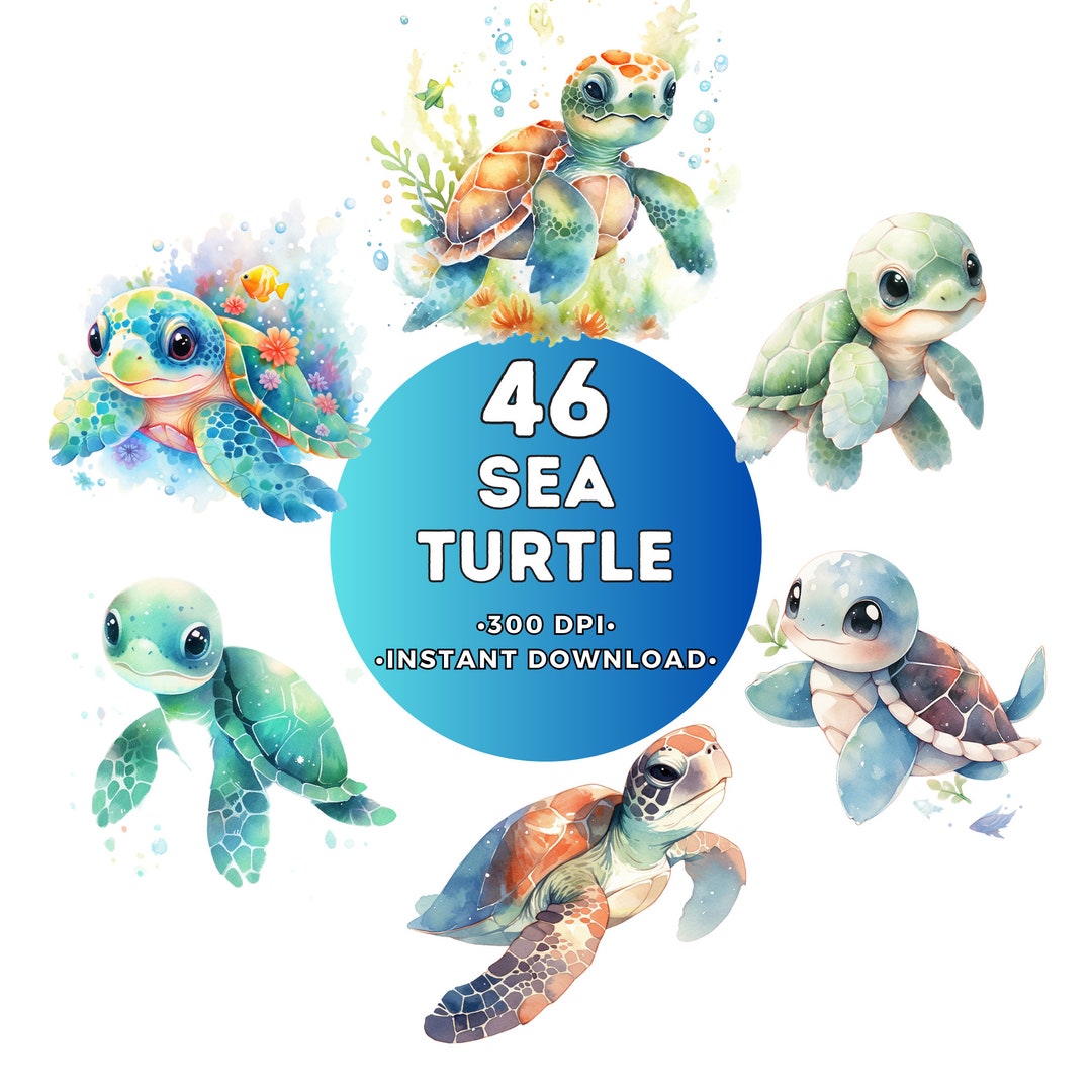 Cute Baby Turtle Bundle 46 Sea Animals Clipart, Baby Sea Turtle PNG ...