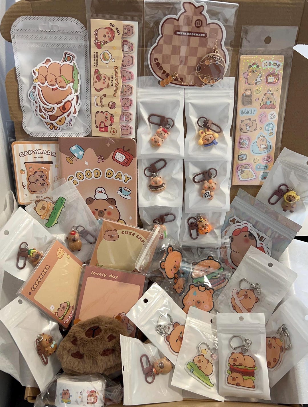 Capybara Lover Gift Box | Cute Stationery | Scrapbooking Stickers ...