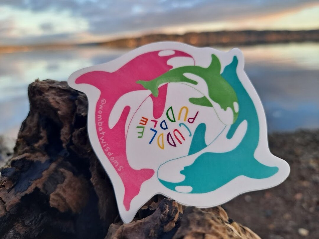 Orca Cuddle Puddle Sticker - Etsy