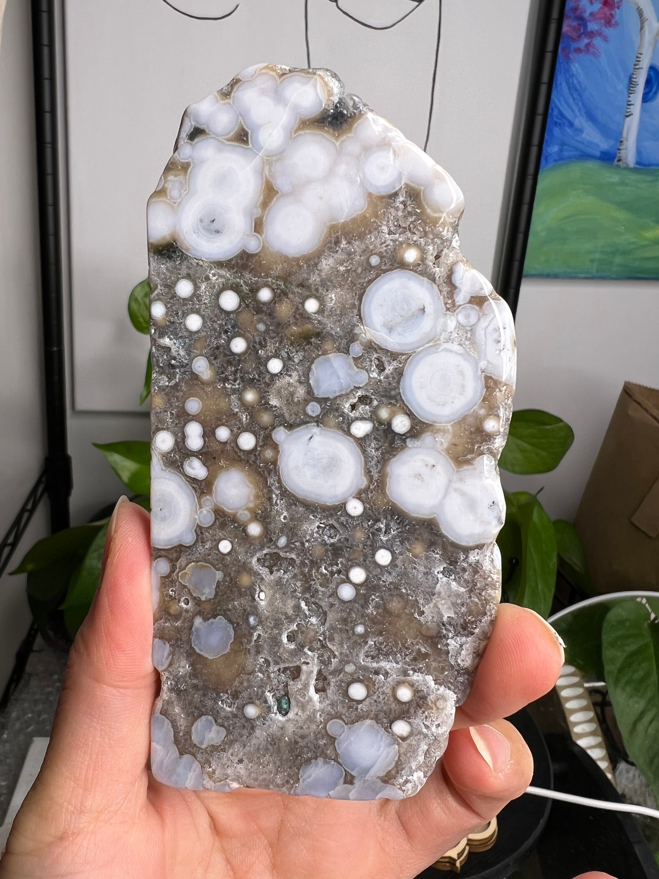 Gorgeous Translucent Ocean Jasper Slab - Etsy