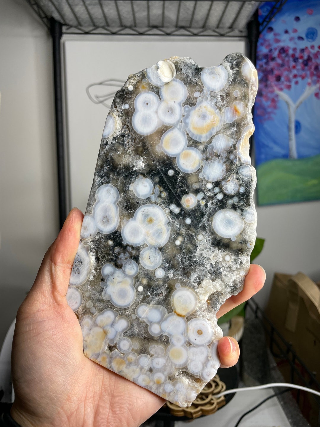 Gorgeous Translucent Ocean Jasper Slab - Etsy