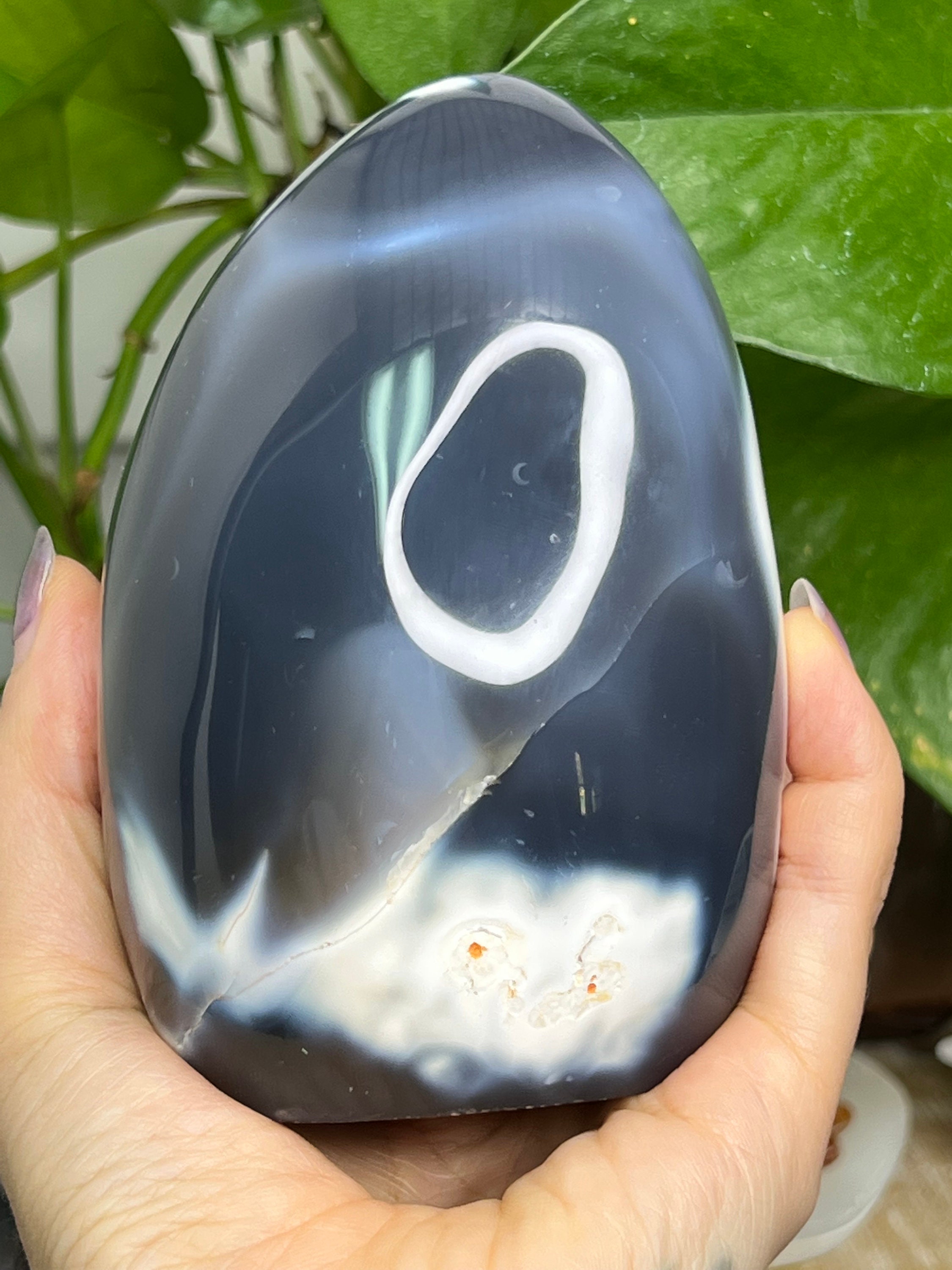 Limited Time Grand Opening Price: Amazing Orca Agate Freeform - Etsy