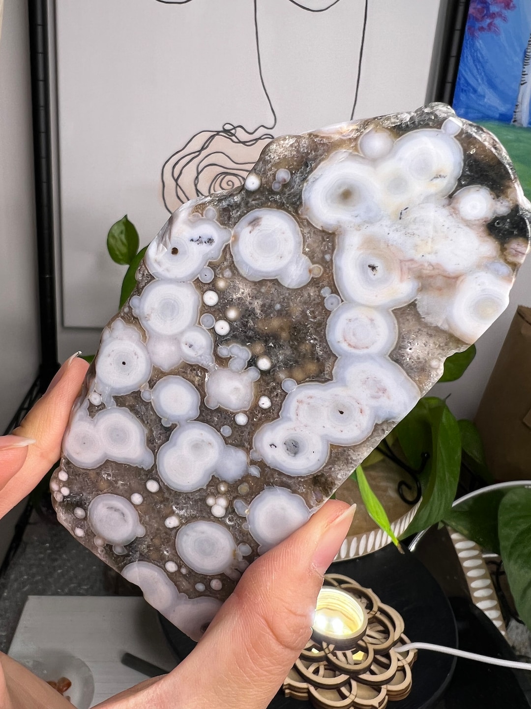 Gorgeous Translucent Ocean Jasper Slab - Etsy
