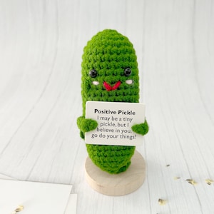 Emotional Support Pickle/positive Pickle/big Fan Pickle,emotional Support Gift,crochet Pickle ...