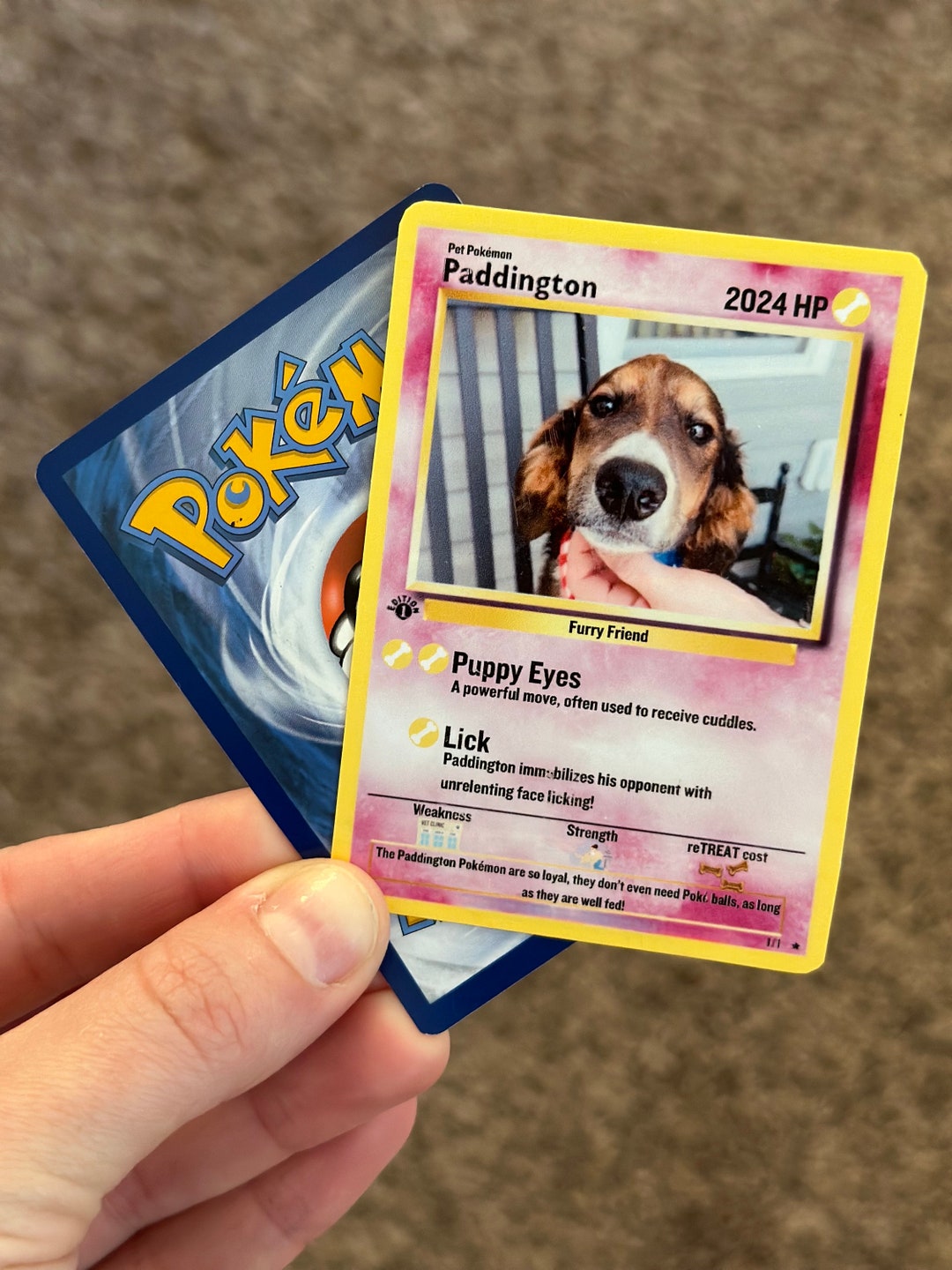 Custom Pokemon Pet Card, Personalized Pokemon Card, Custom Furr Family ...
