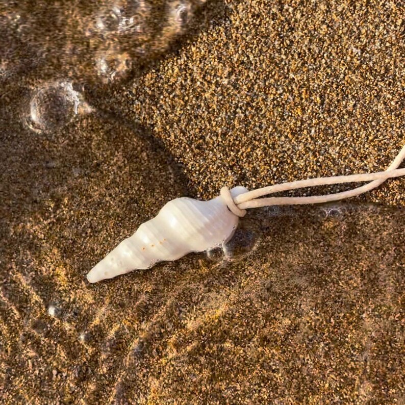 Trendy Necklace Ceramic Shell on a Cord, Boho Bridal Beach Jewelry ...