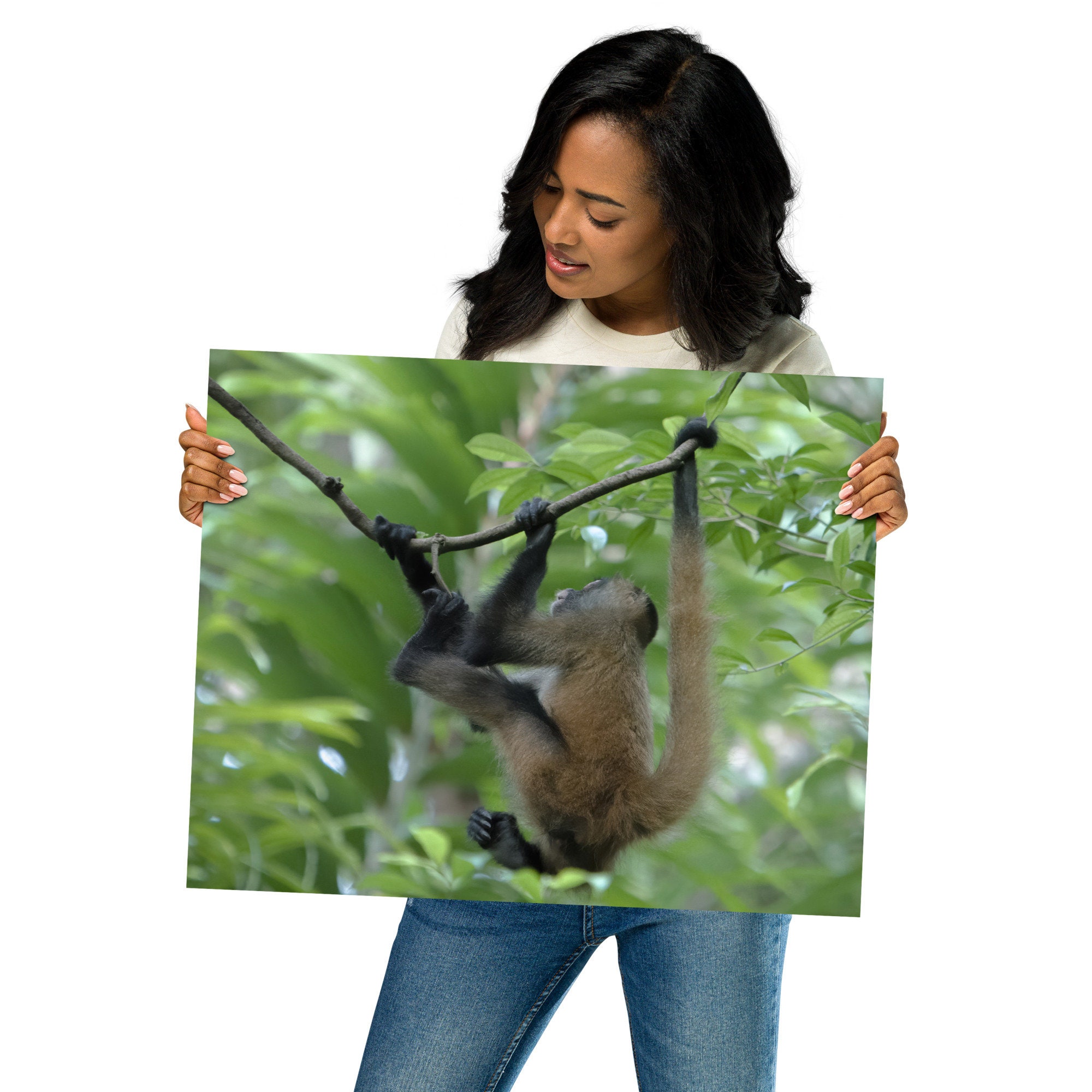 Poster Spider Monkey No11 - Etsy