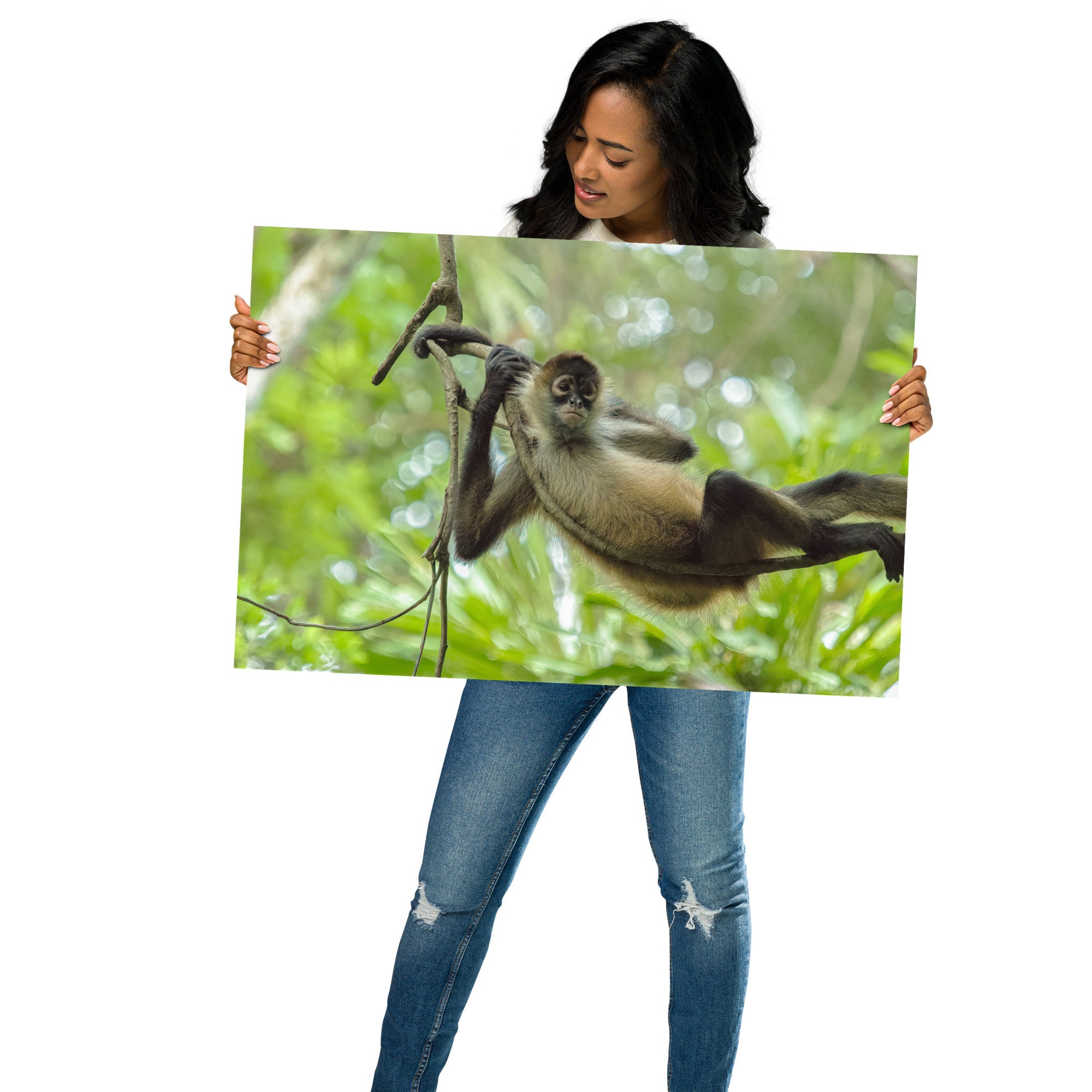 Poster Spider Monkey No1 - Etsy