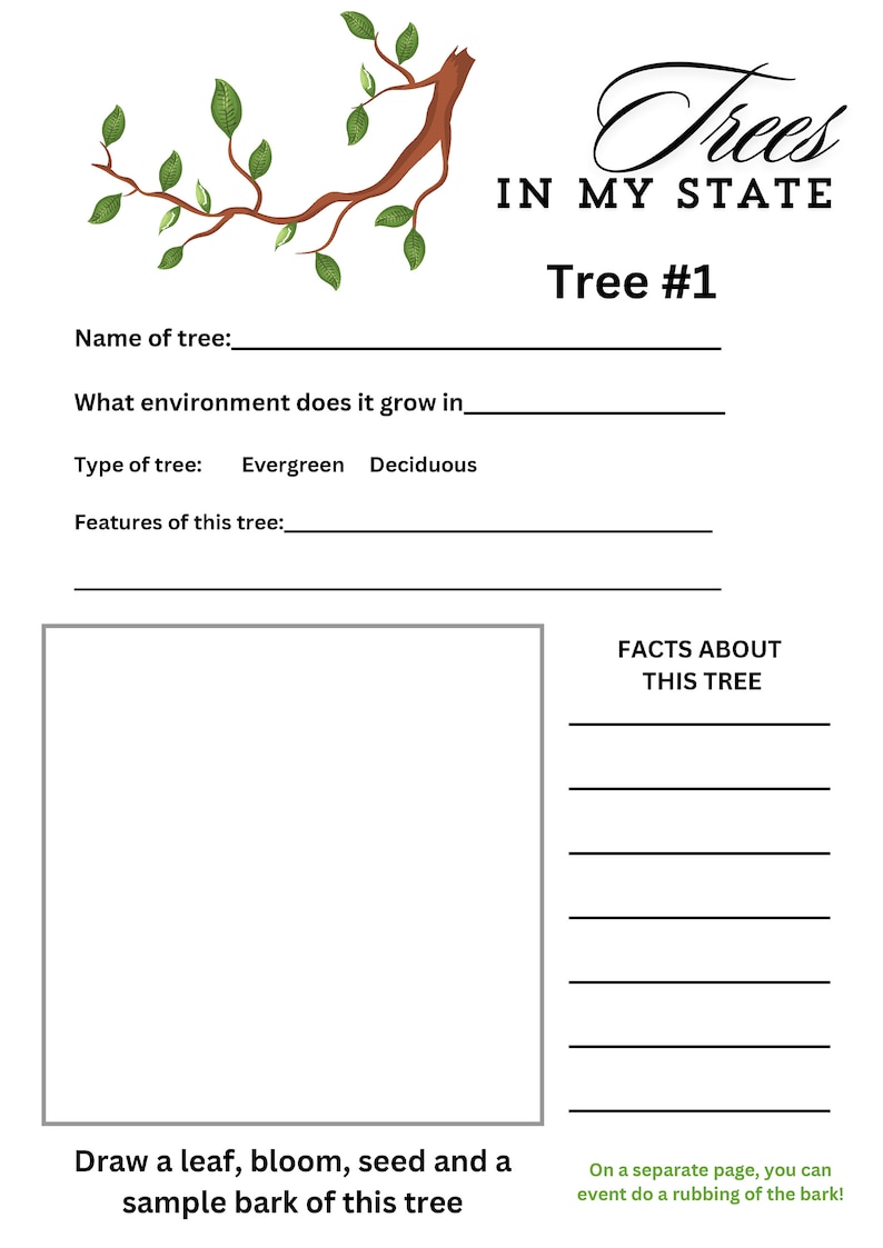 Girl Scout Cadette Trees Badge Meeting Plan Cadette Girl Scout Troop ...