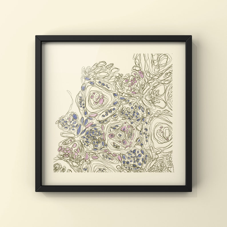 Hermaphrodite Download Downloadable Printable Artwork Cells Microscopic Illustration Drawing ...