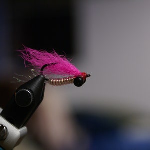 Crazy Charlie-bonefish-permit-jacks-seatrout-snapper-snook-saltwater ...