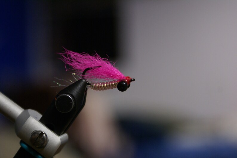 Crazy Charlie-bonefish-permit-jacks-seatrout-snapper-snook-saltwater ...