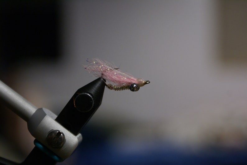 Crazy Charlie-bonefish-permit-jacks-seatrout-snapper-snook-saltwater ...