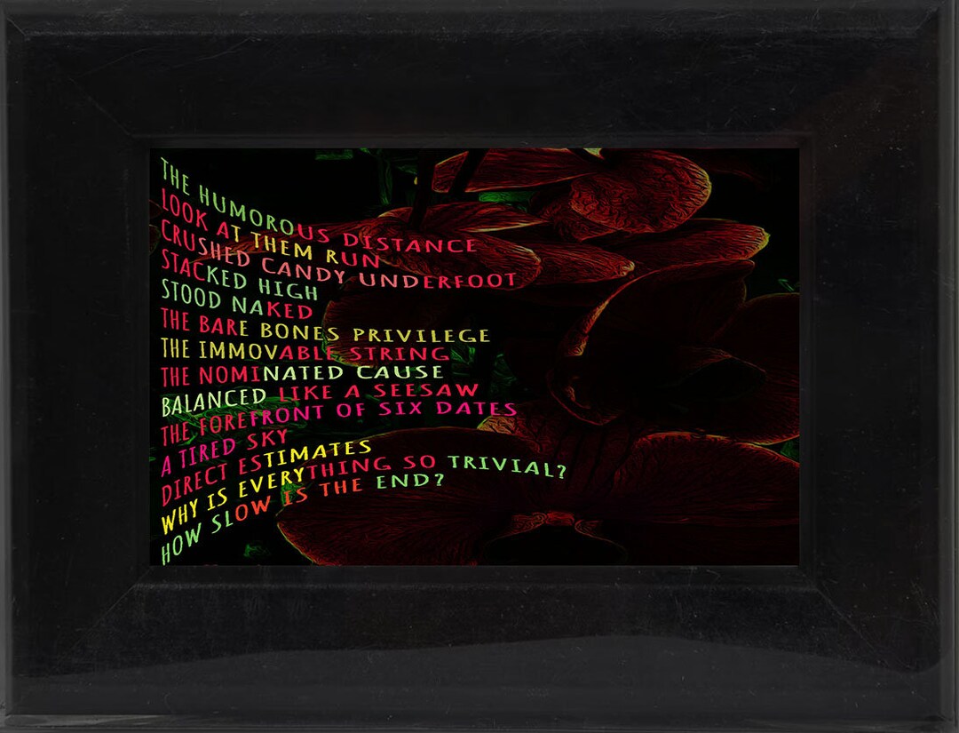 Original Framed Poetry Art & Homedecor Gift Collections-dark Flower ...