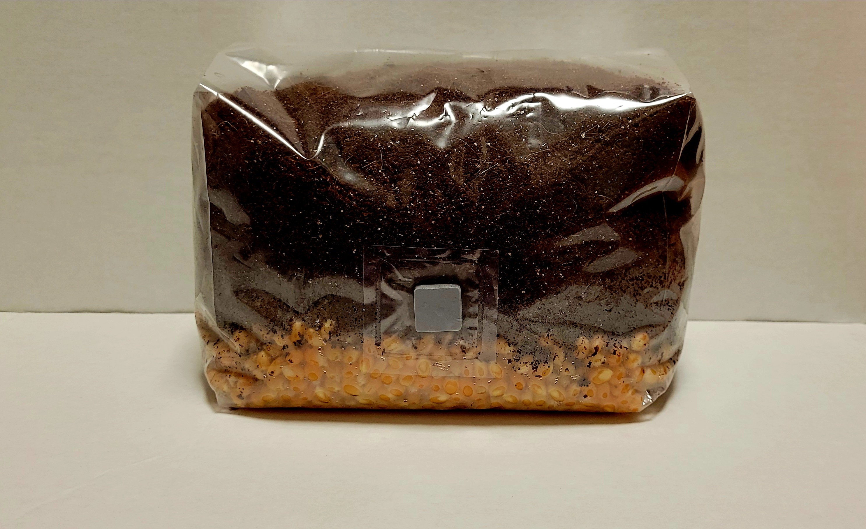 All in One Mushroom Grow Kits 4lbs & All Substrate Bags 6lbs C,v,g,p ...