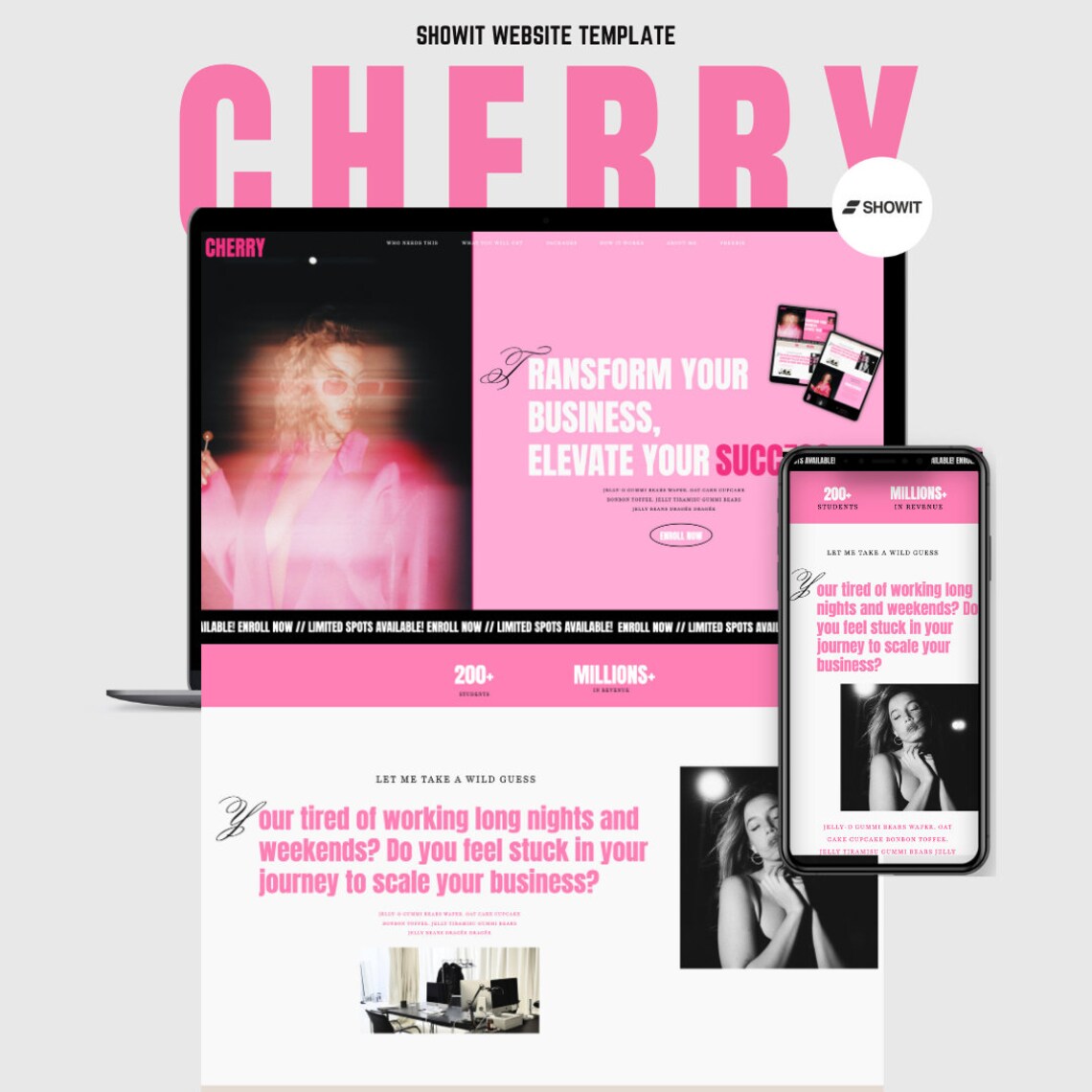 Showit Sales Page Template, Showit Website Template, Sales Page Website ...