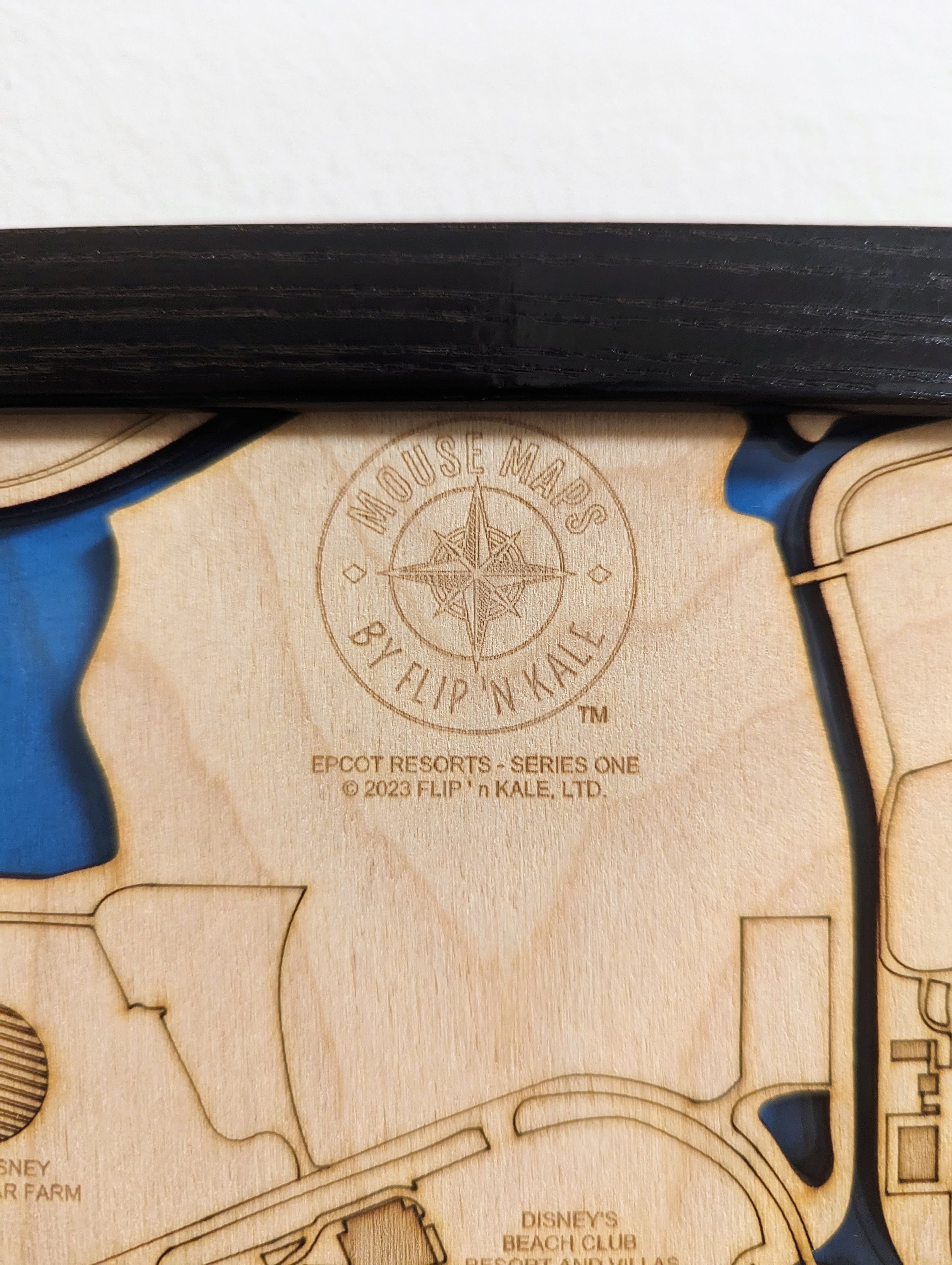 Mouse Maps Epcot Resorts - Etsy