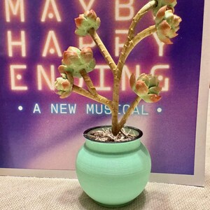 Maybe Happy Ending Hwaboon Broadway Musical Mini Desk Plant Ornament - Etsy