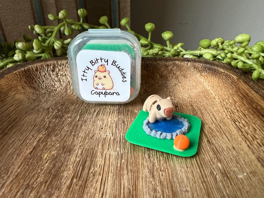 Miniature Capybara Playset – Tiny Desk Pet, Pocket Pet, 3D Printed ...