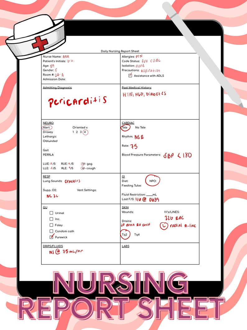 Nursing Daily Report Sheet - Etsy